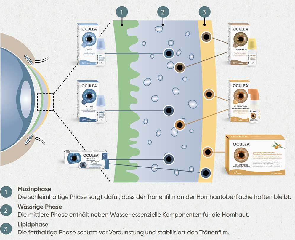 Neu bei Mediconsult erhältlich: OCULEA® – Das natürliche Konzept bei ...